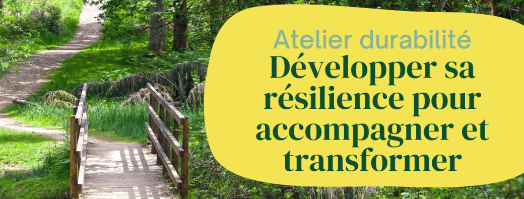 TQR : Développer sa résilience pour accompagner et transformer - Réseau ...